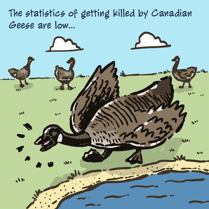 Canadian Geese Memes Duck Duck Goose – Scientific Scarsdalian